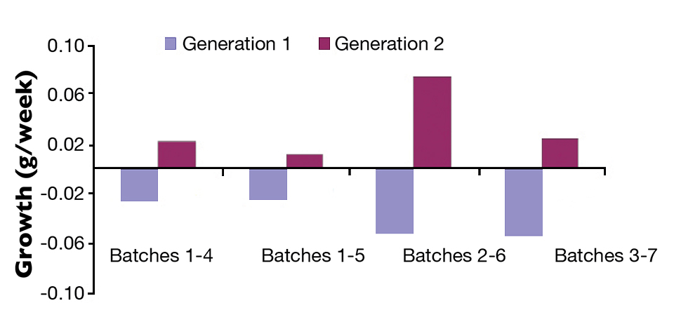 SPF shrimp breeding in Brazil - Responsible Seafood Advocate