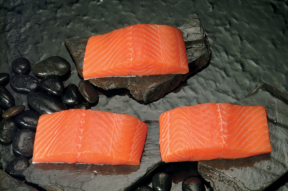 Better to eat – farmed or wild salmon? - Responsible Seafood Advocate