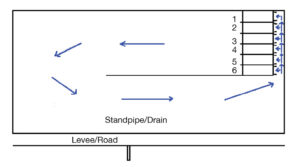 In-pond raceway system demonstrates economic benefits for catfish ...