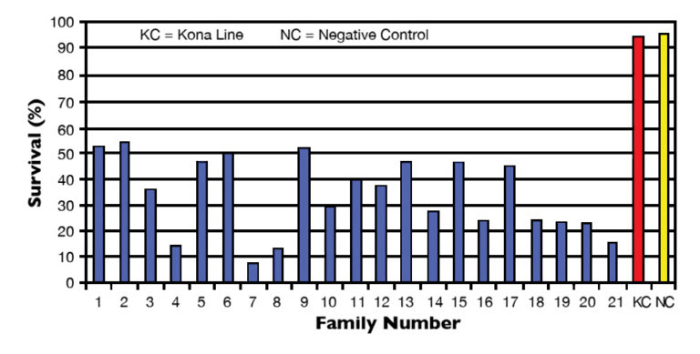 Lab challenge for selection of IMNV-resistant white shrimp ...