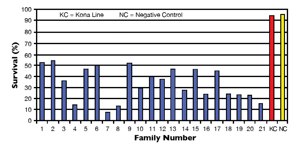 Lab challenge for selection of IMNV-resistant white shrimp ...