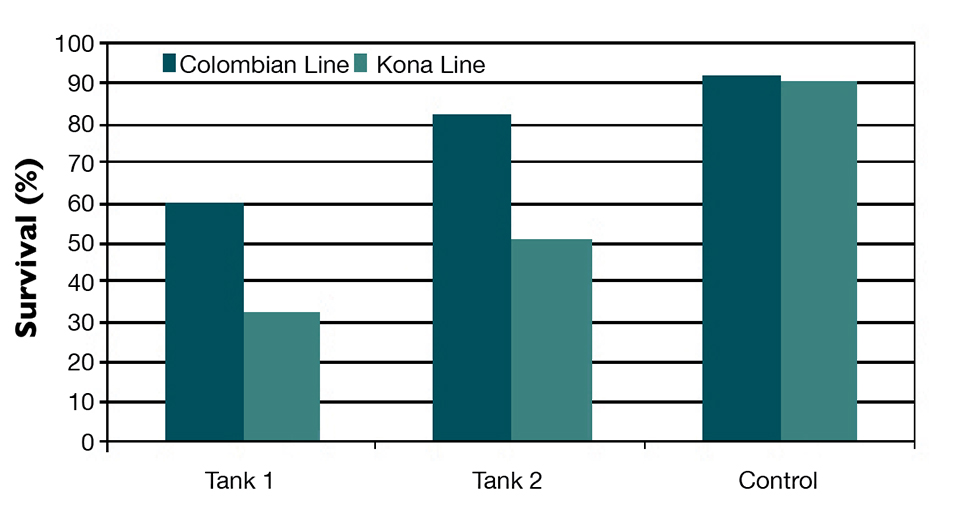 Colombian shrimp research associates TSV, NHP selection, resistance ...