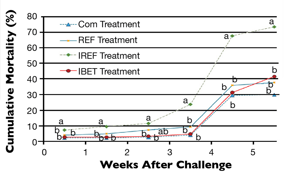 Brazil study: Beta-glucans improve survival of IMNV-infected white ...
