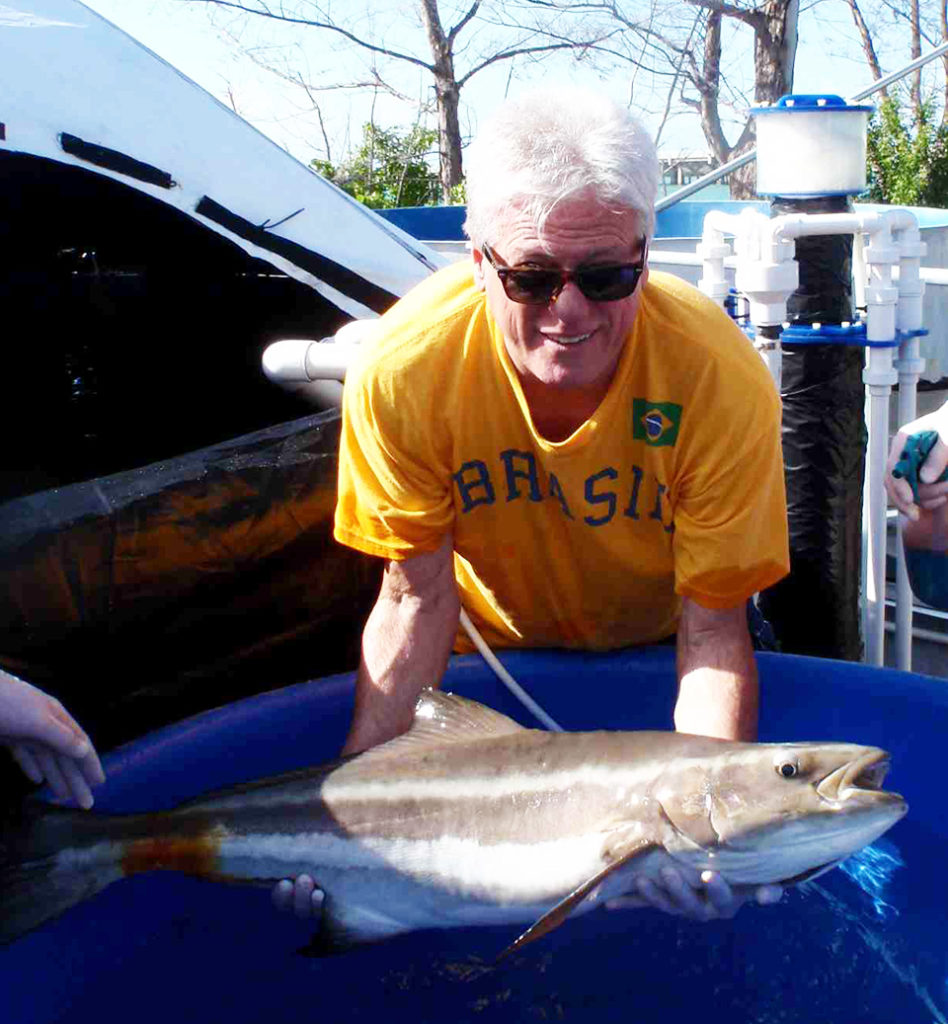 Cobia hatchery-to-market technology at UMEH - Responsible Seafood Advocate