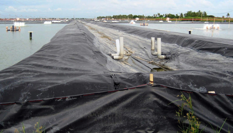 Biosecurity for shrimp farms - Responsible Seafood Advocate