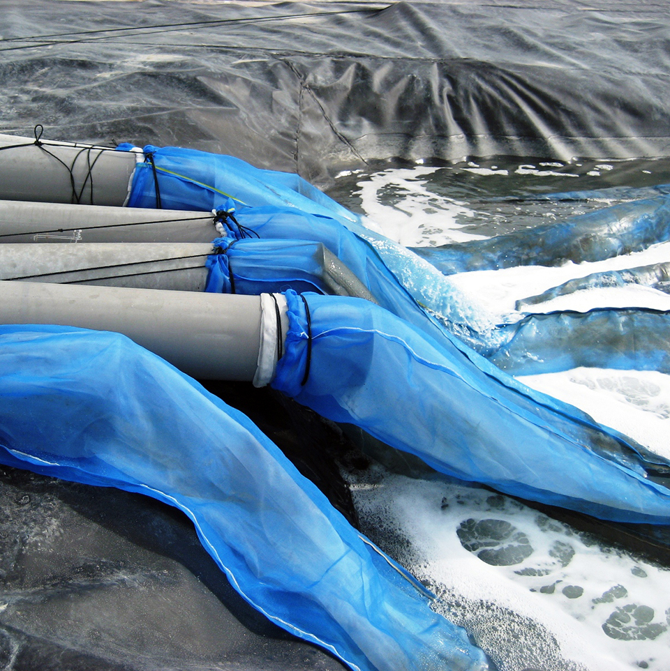 Biosecurity for shrimp farms - Responsible Seafood Advocate