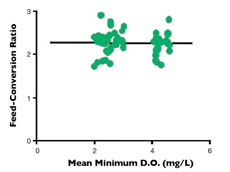 Oxygen management improves channel catfish growth, FCR - Responsible ...
