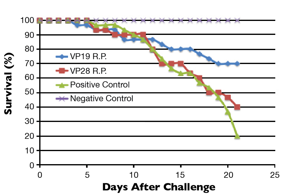 Alphavirus replicon particles potential method for WSSV vaccination of ...
