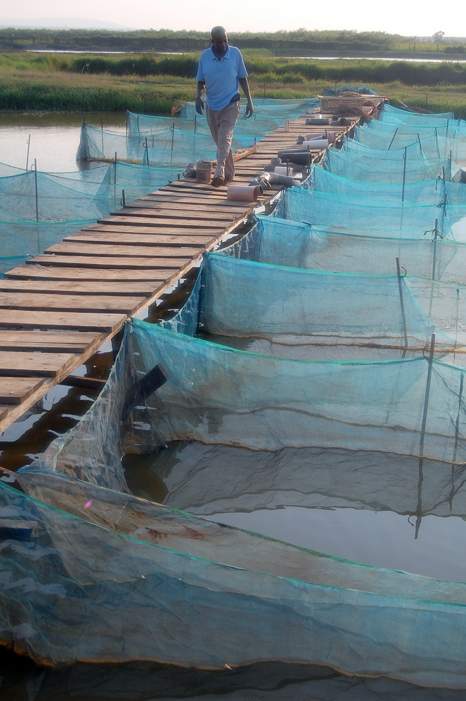 Uncharted waters: Kenya takes dramatic leap in aquaculture ...