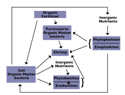 Organic matter for pond fertilizer - Responsible Seafood Advocate