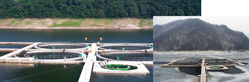 Floating closed-containment aquaculture - Responsible Seafood Advocate
