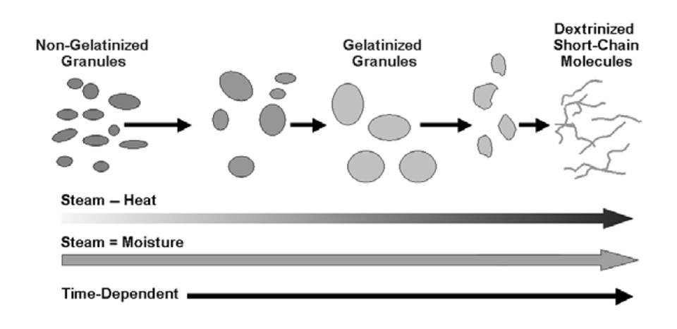 Preconditioning shrimp feeds, Part 1 - Responsible Seafood Advocate