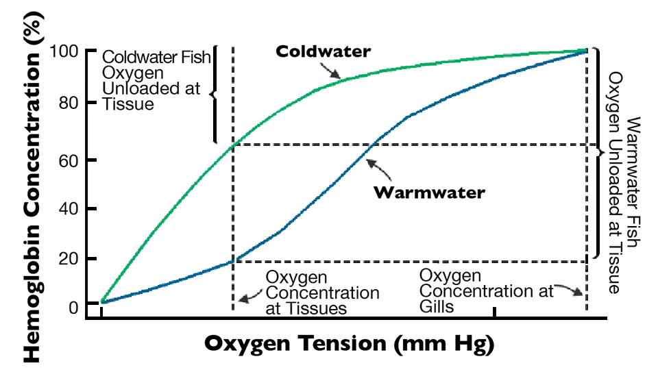Dissolved oxygen requirements in aquatic animal respiration ...