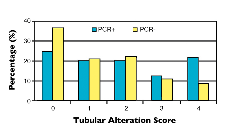 Wet mount technique excellent for health monitoring, not NHP diagnosis ...