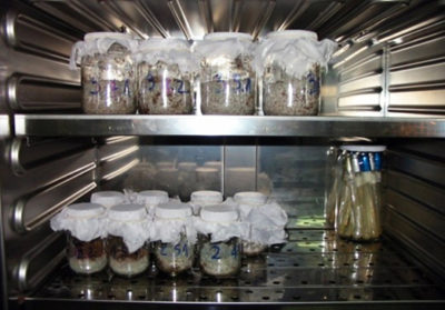 Solid-state fermentation novel process for improving nutritional value ...