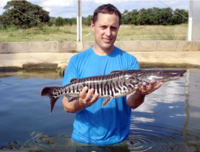 Aquaculture of Amazon fish in Latin America - Responsible Seafood Advocate