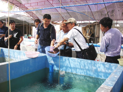 ASAIM addresses challenges to growth of marine fish farming in ...