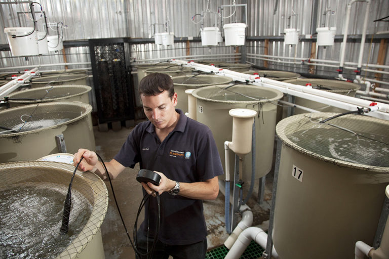 Cooperation grows Australian aquaculture - Responsible Seafood Advocate