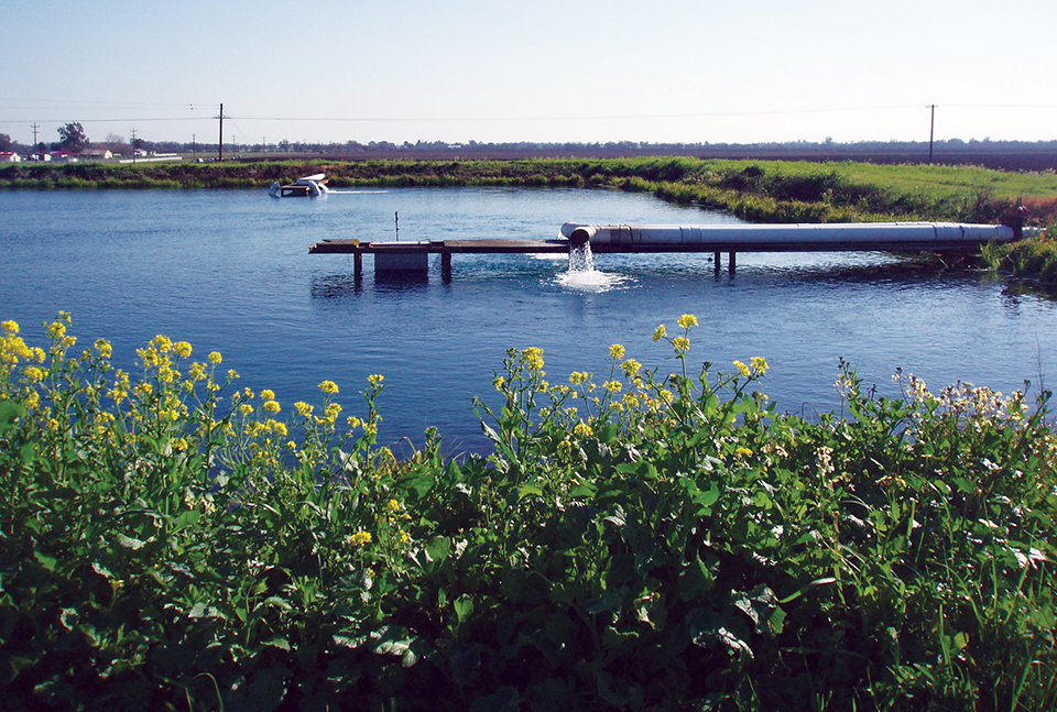 The Fishery: One farm, one fish at a time - Responsible Seafood Advocate
