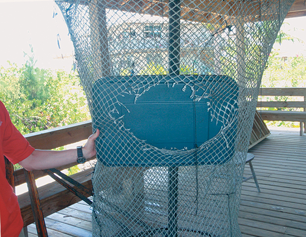 Protecting fish in shark-infested waters - Responsible Seafood Advocate