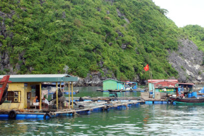 Marine fish farming in Vietnam - Responsible Seafood Advocate