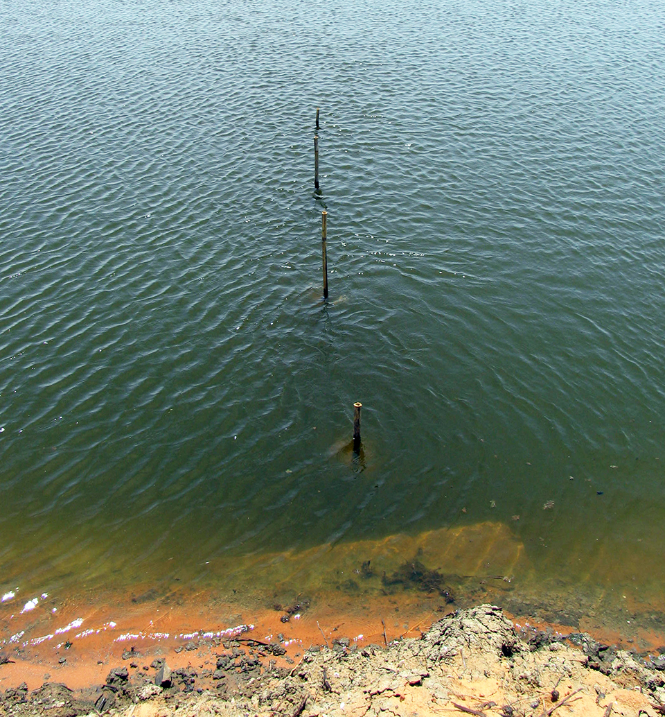 Turbidity removal from pond waters - Responsible Seafood Advocate