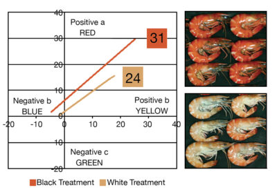Mechanisms of shrimp coloration - Responsible Seafood Advocate