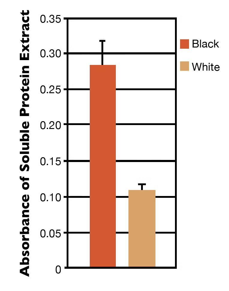 Mechanisms of shrimp coloration - Responsible Seafood Advocate