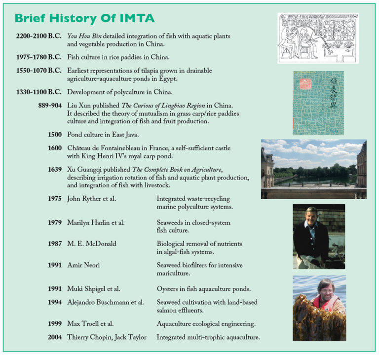 A look at integrated multi-trophic aquaculture - Responsible Seafood ...