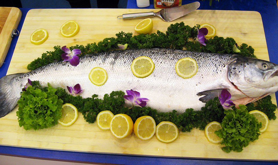 Fresh salmon product demand, competition in Europe - Responsible ...