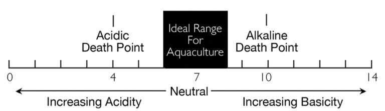 Manage pH cycles to maintain animal health - Responsible Seafood Advocate