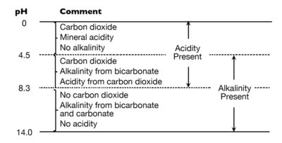 Manage pH cycles to maintain animal health - Responsible Seafood Advocate