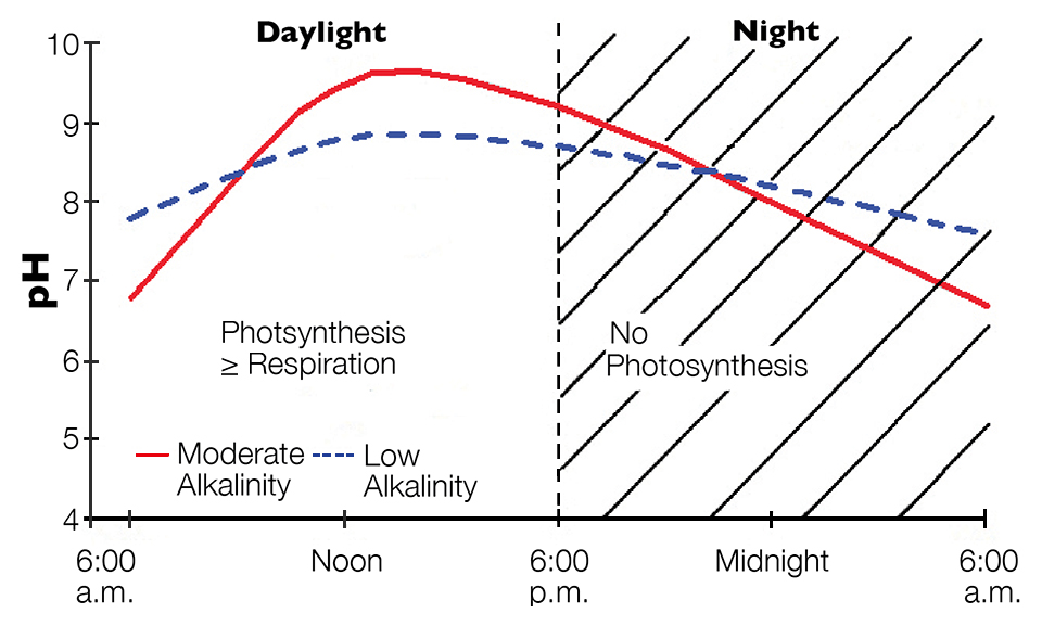 Manage pH cycles to maintain animal health - Responsible Seafood Advocate