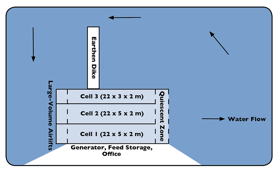New intensive pond aquaculture technology demonstrated in China ...