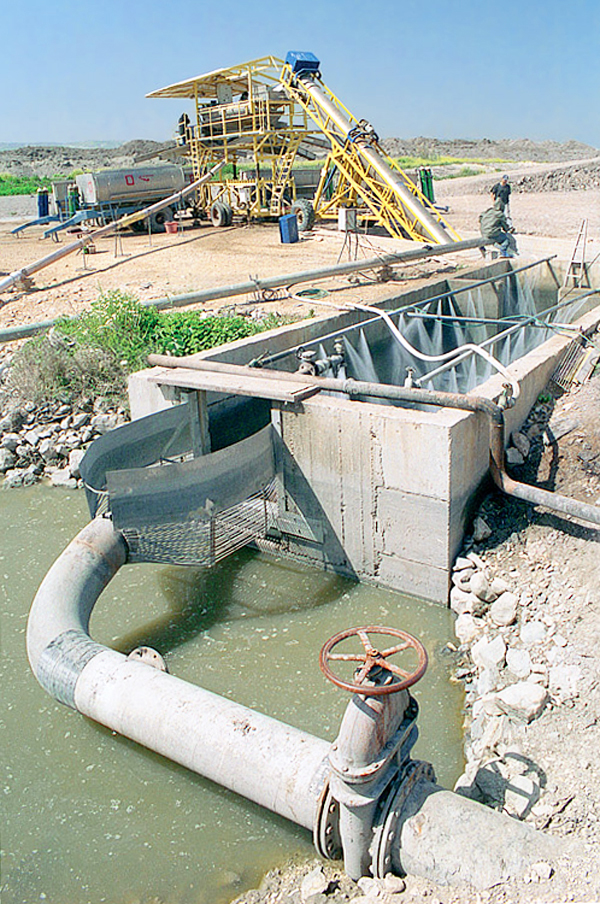 More tilapia, higher profit? - Responsible Seafood Advocate