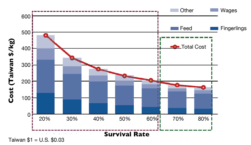 The search for sustainable grouper farming - Responsible Seafood Advocate