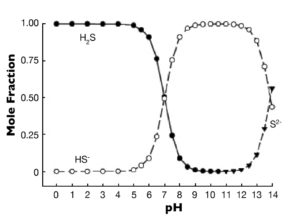 Hydrogen sulfide toxic, but manageable - Responsible Seafood Advocate