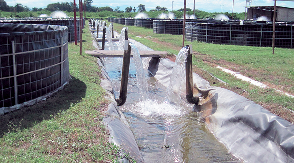 Raceway systems offer tools for EMS management - Responsible Seafood ...