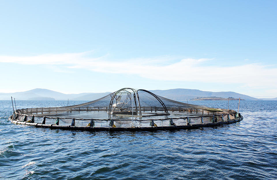 Legal issues affect offshore aquaculture development - Responsible ...