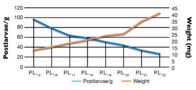 What size are your postlarvae? - Responsible Seafood Advocate