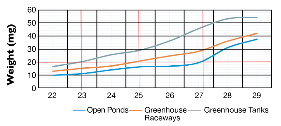 What size are your postlarvae? - Responsible Seafood Advocate