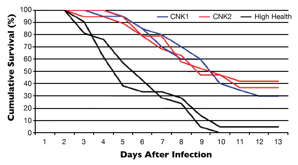 CENIACUA develops WSSV-resistant shrimp in Colombia - Responsible ...