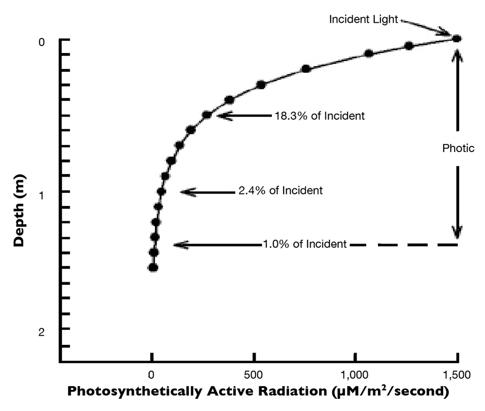 Light penetration in water - Responsible Seafood Advocate