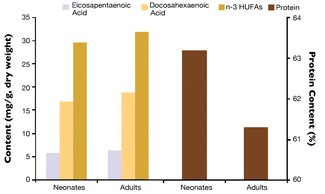New-generation diets omit rotifer enrichment, improve water quality ...