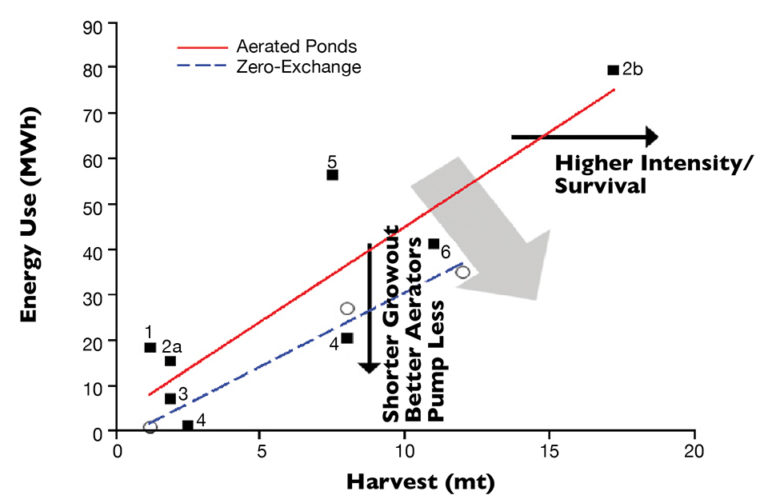 Examining energy use in shrimp farming - Responsible Seafood Advocate