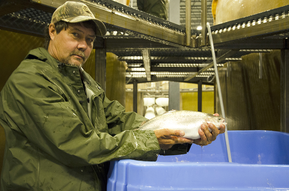 Selling farmed fish in a wild market - Responsible Seafood Advocate