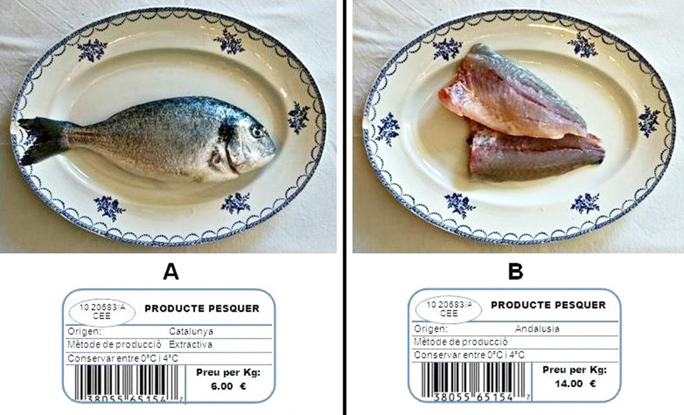 Survey: Consumers in Catalonia accept farmed sea bream, vary on form ...