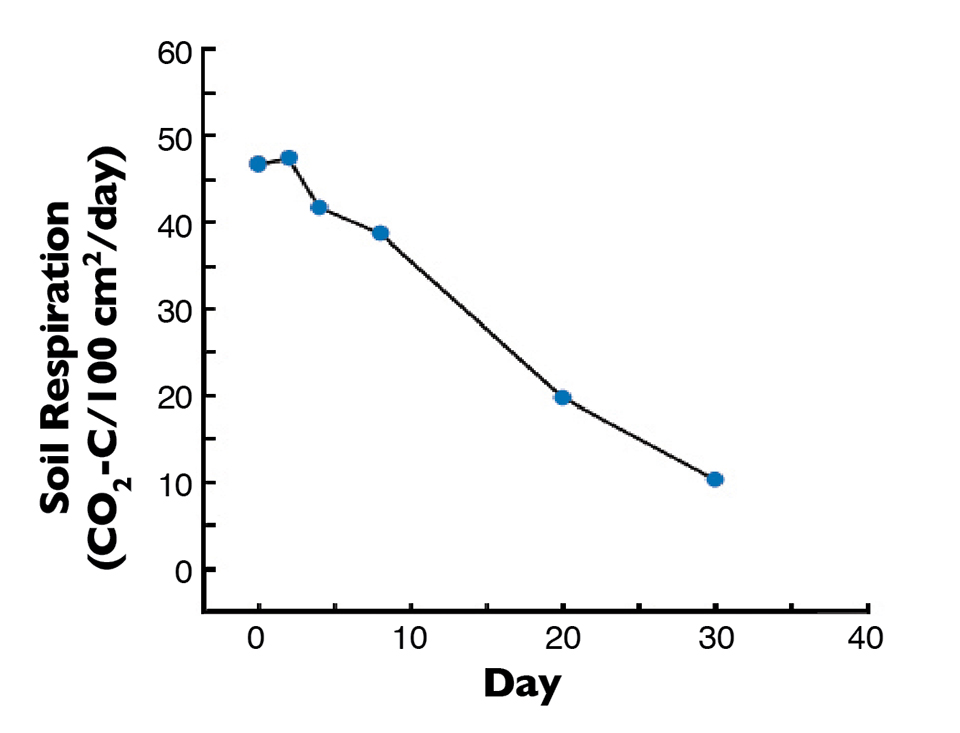 Pond bottom dry-out and liming, part 1 - Responsible Seafood Advocate