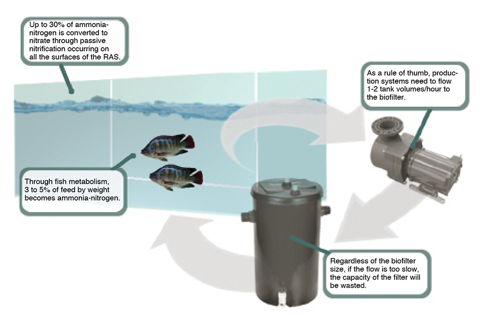 Flow rate estimation for RAS - Responsible Seafood Advocate