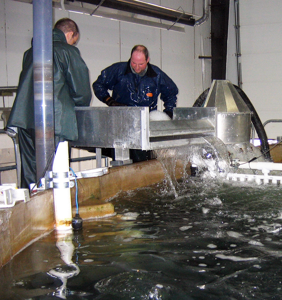 Crowder/grader units improve harvest efficiency in large circular tanks ...